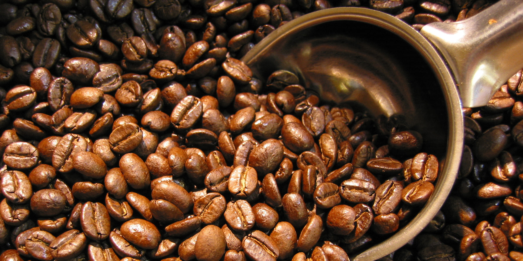 Freshly Roasted Coffee & Merch Delivered – Rise & Shine Coffee